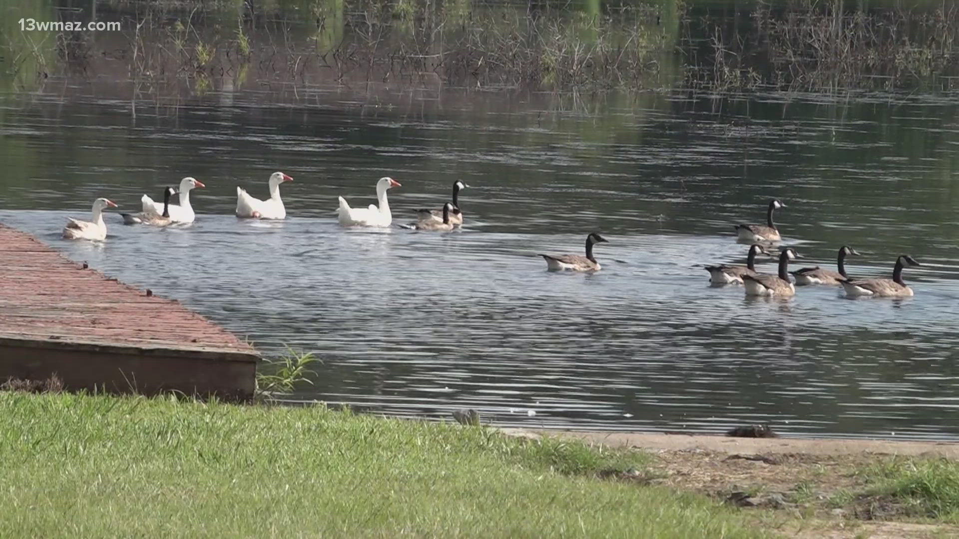 Lake problems continue to plague Central Georgia town, and tensions are ...