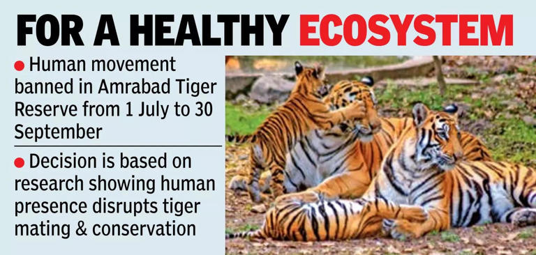 Breeding season: Three-month tourism ban in Amrabad Tiger Reserve to ...