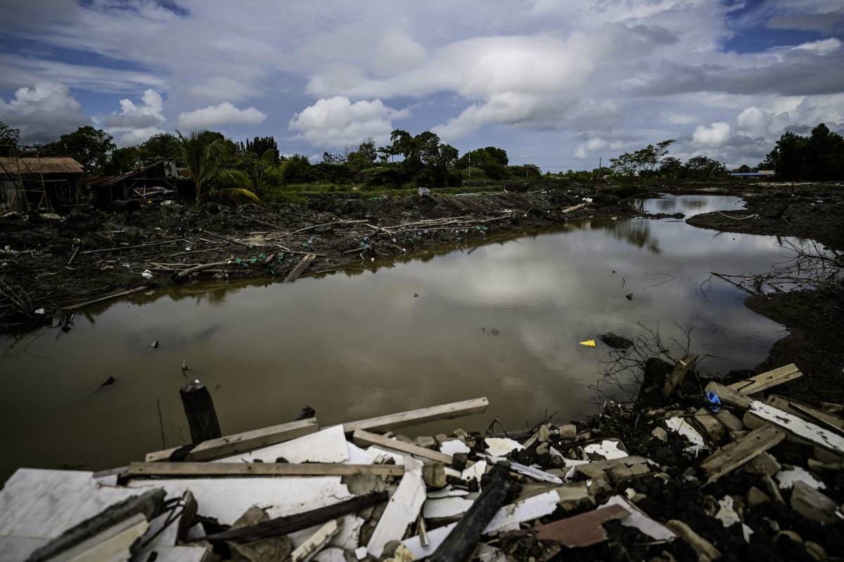 'Every day I see land disappear': Suriname's battle to keep sea at bay