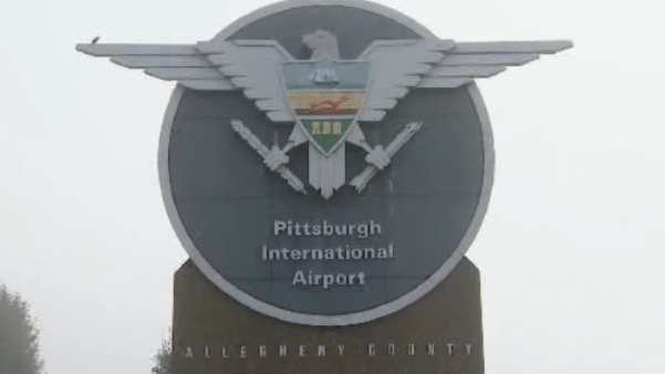 Animal cruelty charges withdrawn after woman pleads guilty to ...