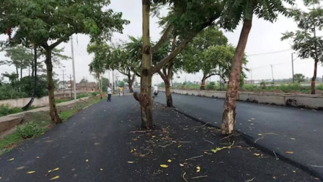 State highway or obstacle course? Bihar’s Rs 100-crore road widened ...