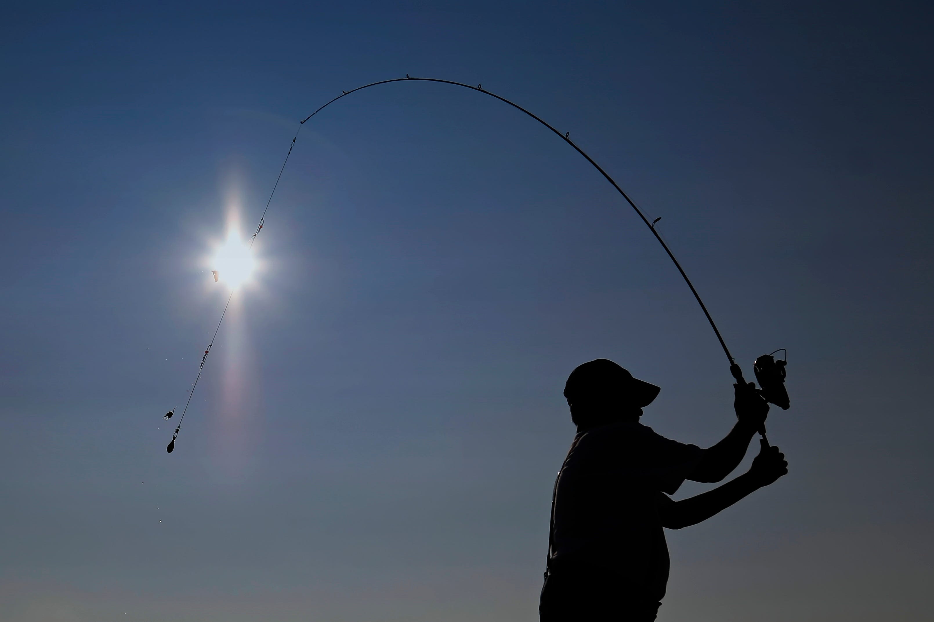 Where to go freshwater fishing in the New Bedford area: A handy list