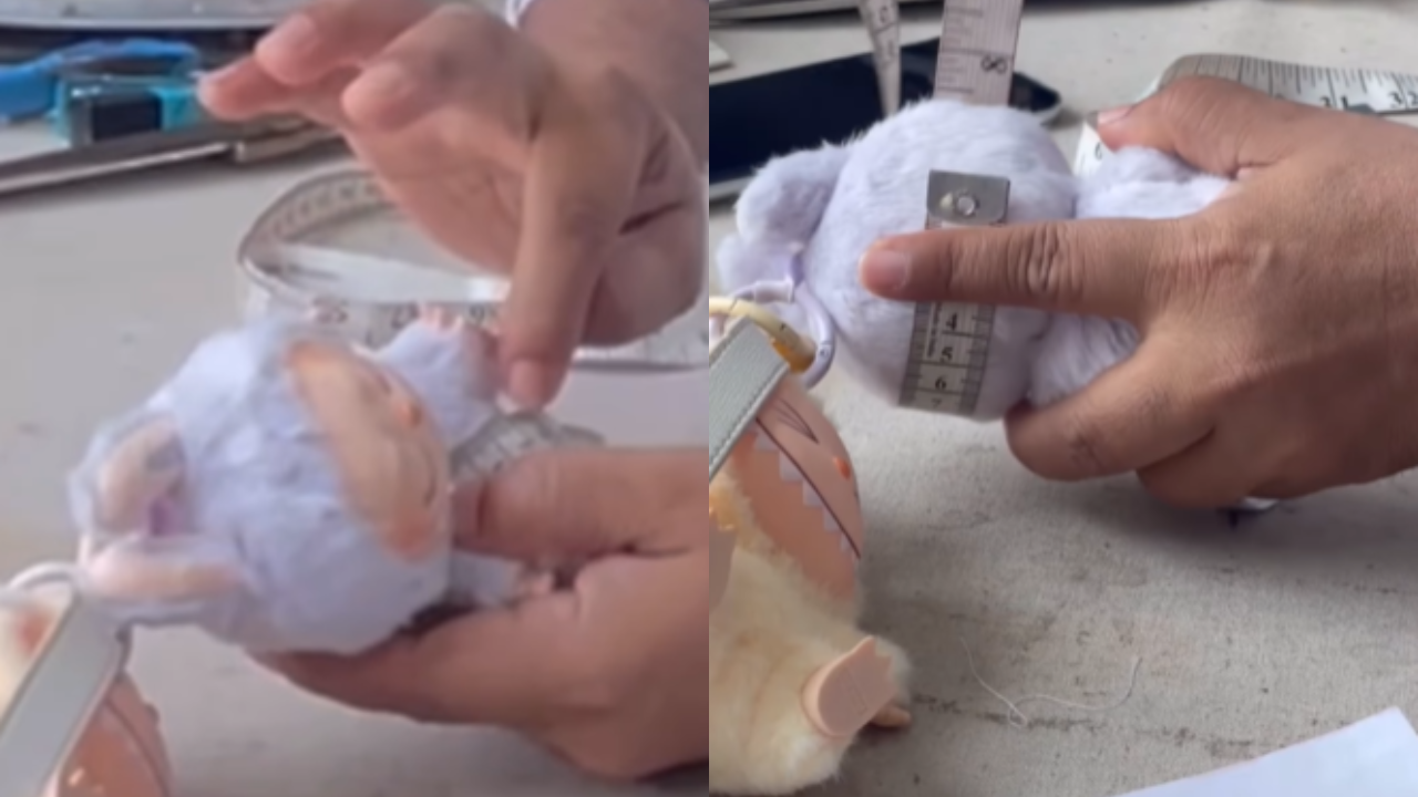 Peak Labubu Fever! Girl Gets Custom Clothes Made For Her Labubu Doll ...