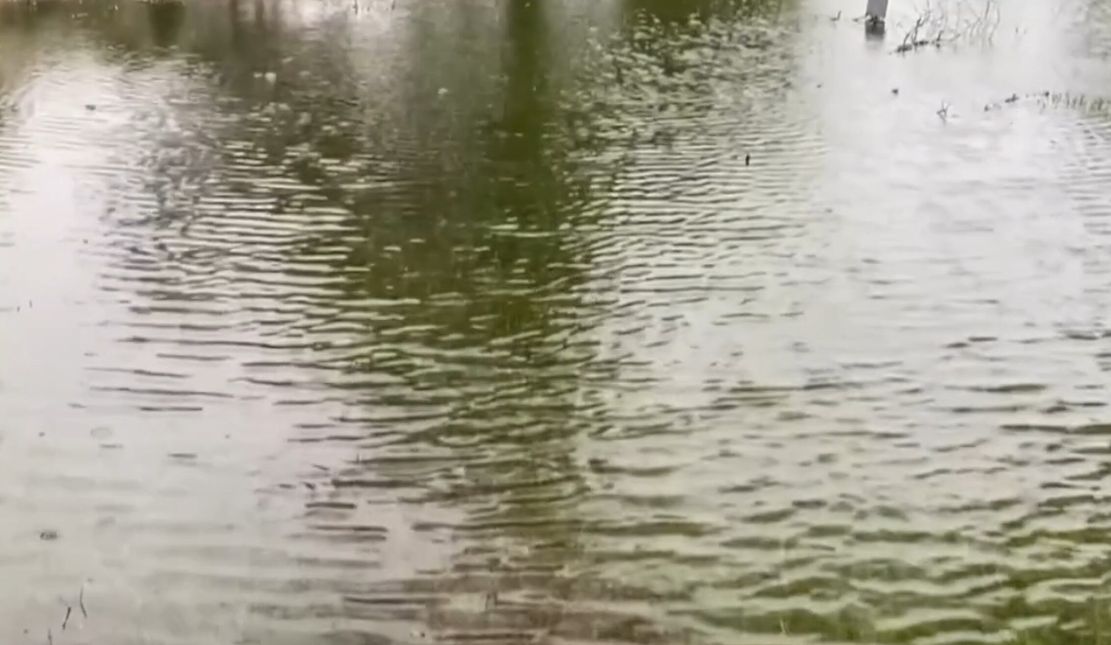 Suwannee River Water Management District, FEMA to discuss Waccasassa ...