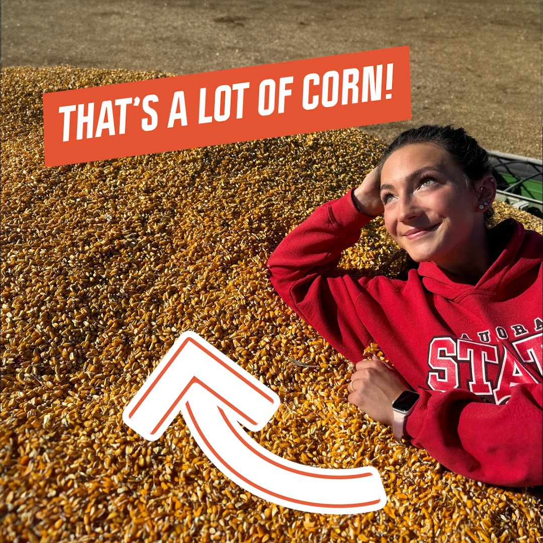 From Sun Up To Sun Down, It's All About The Corn! 🌽