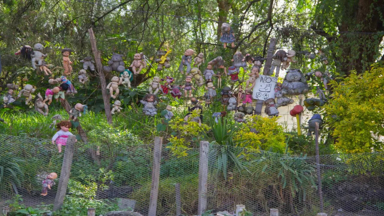Mexico’s Island of Dolls: What's the truth behind the decaying dolls ...