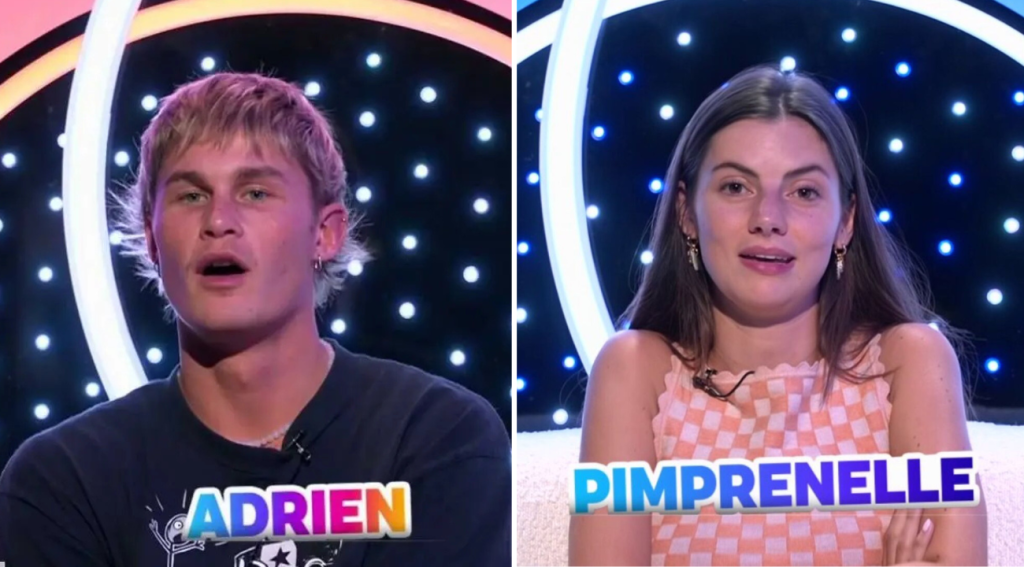 Secret Story : Adrien et Pimprenelle s’embrassent et officialisent leur ...