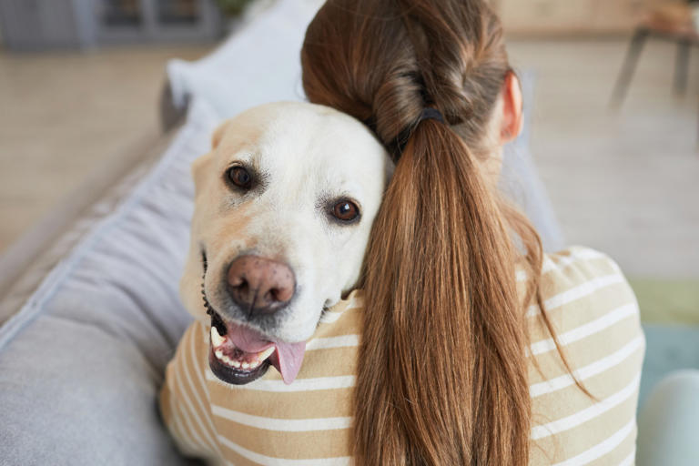 5 Sensitive Dog Breeds That Know When You Need a Hug