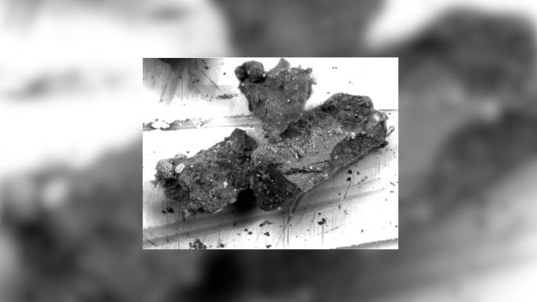 'Like finding a tropical seed in Arctic ice': How a surprise mineral ...