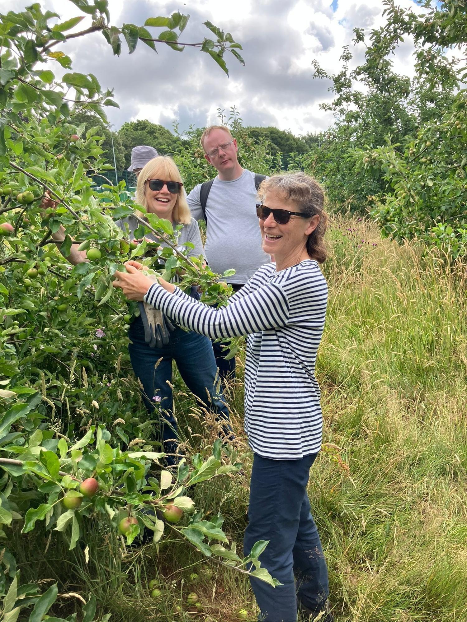 Discover community orchards at Oaklands Park