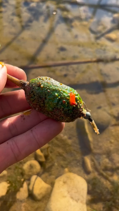 Fishing Hack Carp Rig Combo That Works