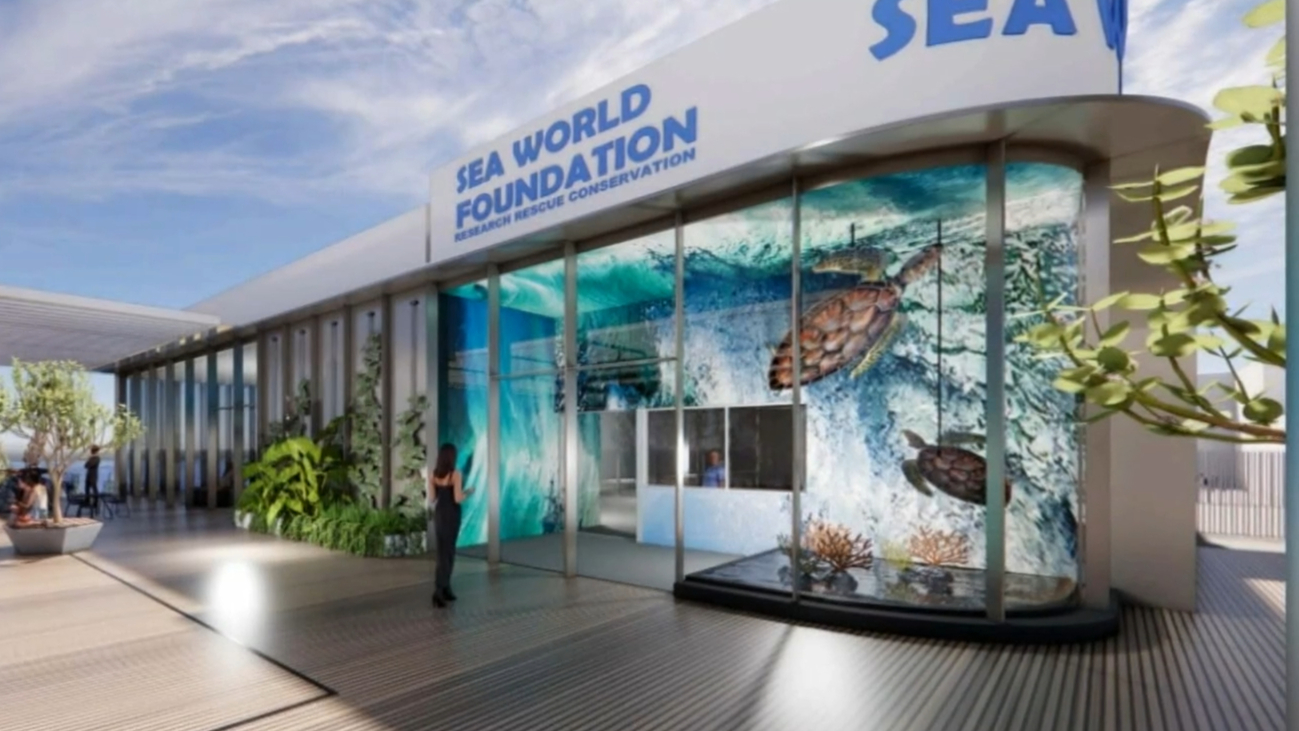 Sea World unveils new marine animal hospital on the Gold Coast