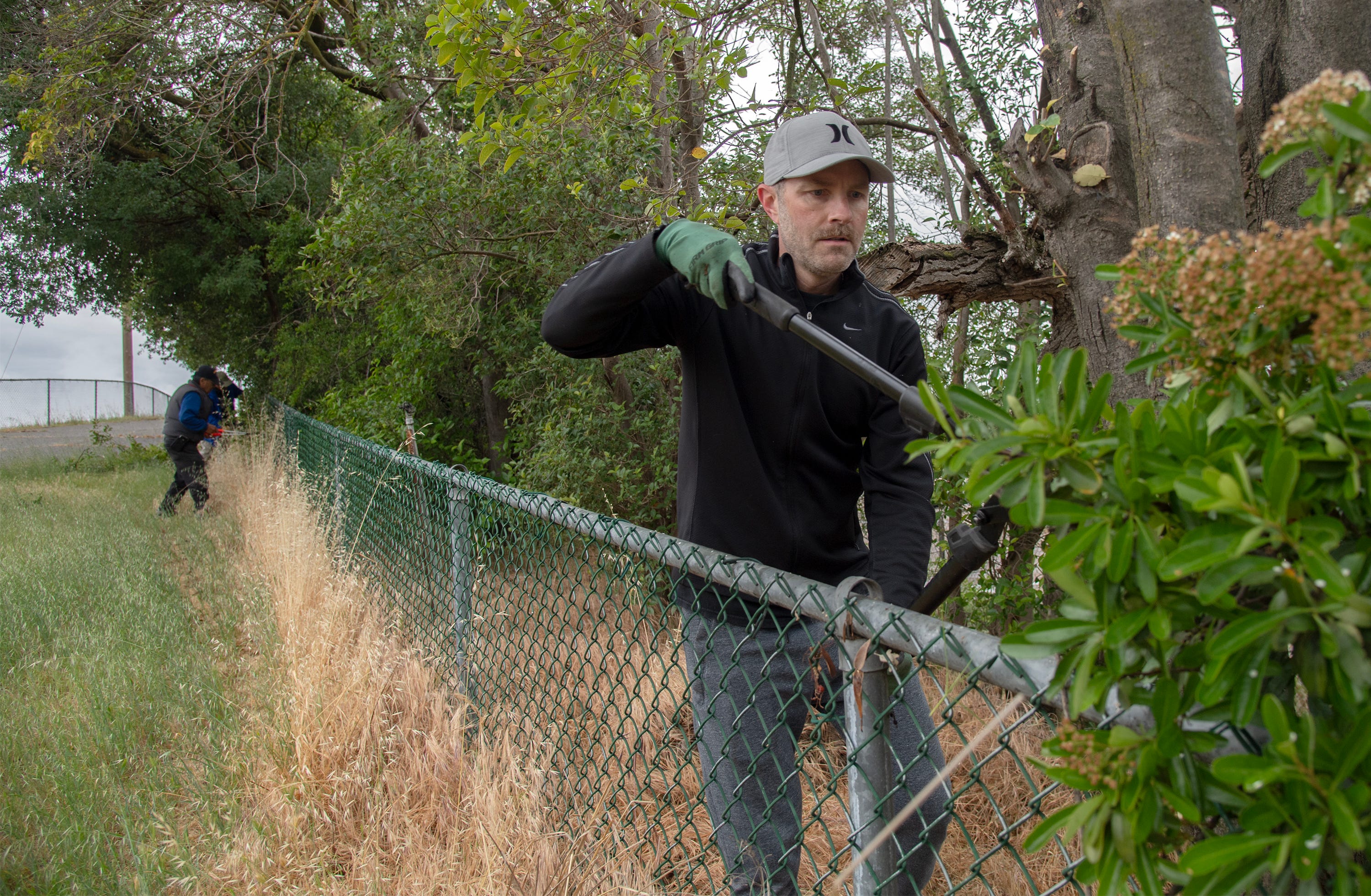 Can you trim your neighbor's tree? What to do if it hangs over your ...