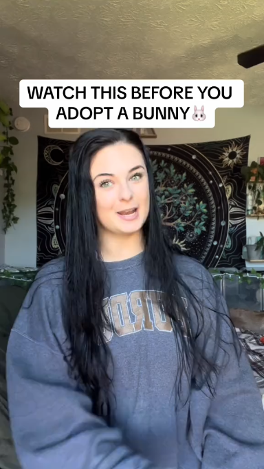 All Things Bunny! From Cute Hops to Bun-Tastic Tips