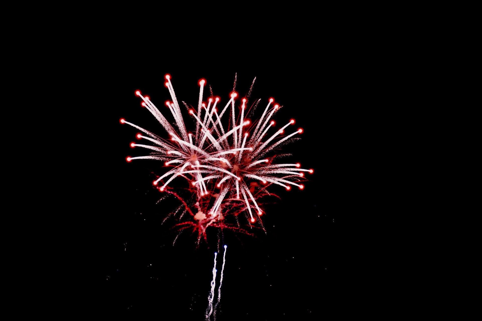 LTU, environmental experts talk about fireworks hazards on area ecosystems