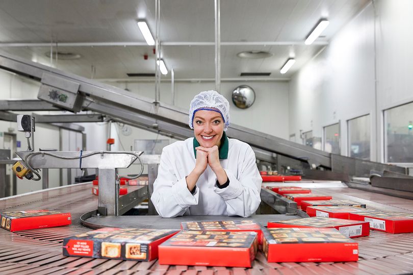 Inside the Factory and Tempting Fortune maker's revenue rises after BBC ...