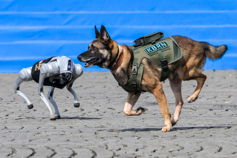 Indonesia unveils robot police force