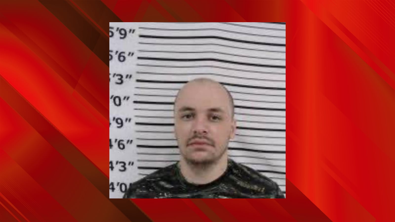 Just released inmate indicted on charges he killed Dale County woman