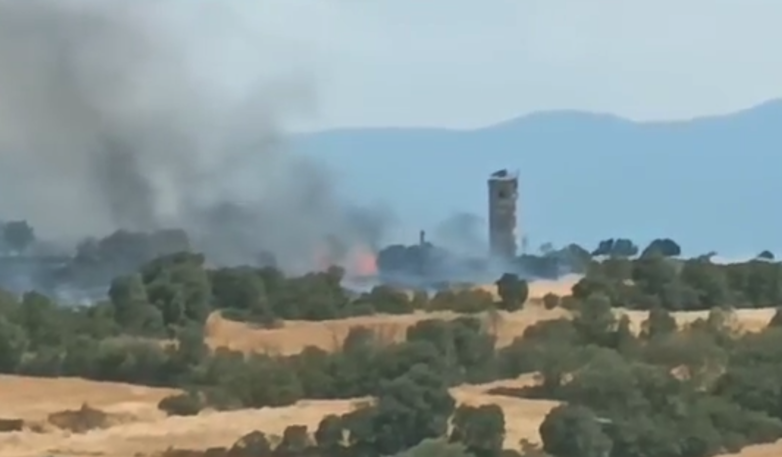 Οριοθετήθηκε η φωτιά σε εργοστάσιο ξυλείας στις Σέρρες – Ηχησε το 112