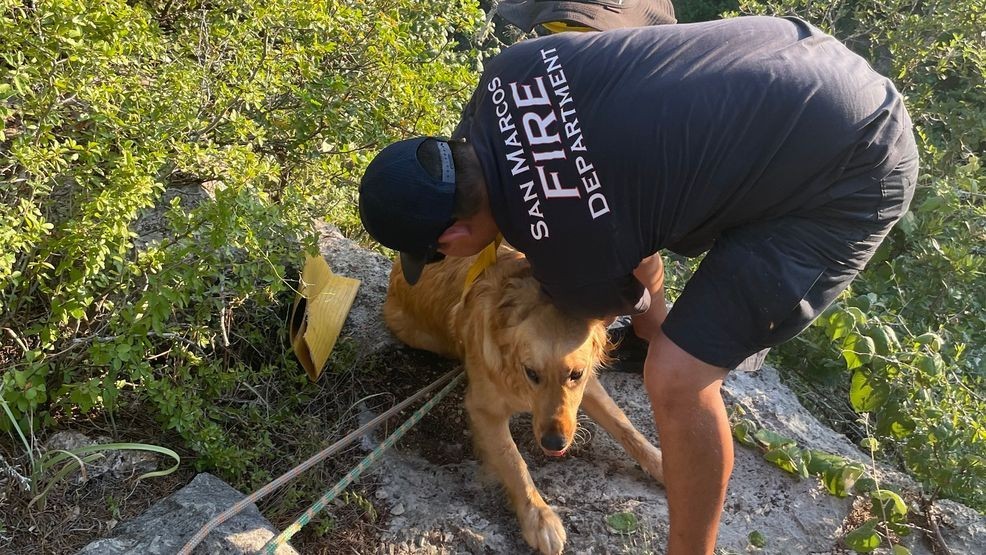 San Marcos firefighters rescue golden retriever stranded on cliff ledge