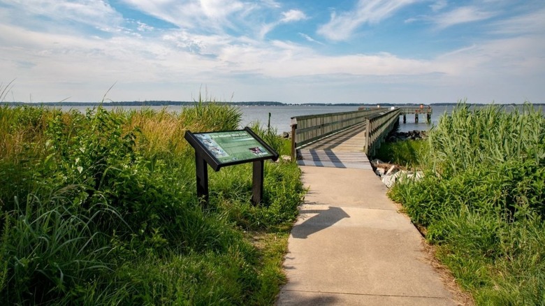 Delaware's Smallest State Park Is A Waterfront Sandy Gem With Scenic ...