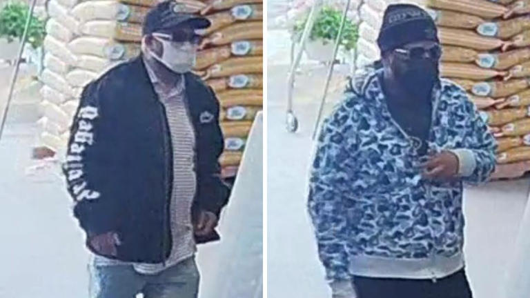 Pair accused of stealing wallet from elderly victim at Lexington ...