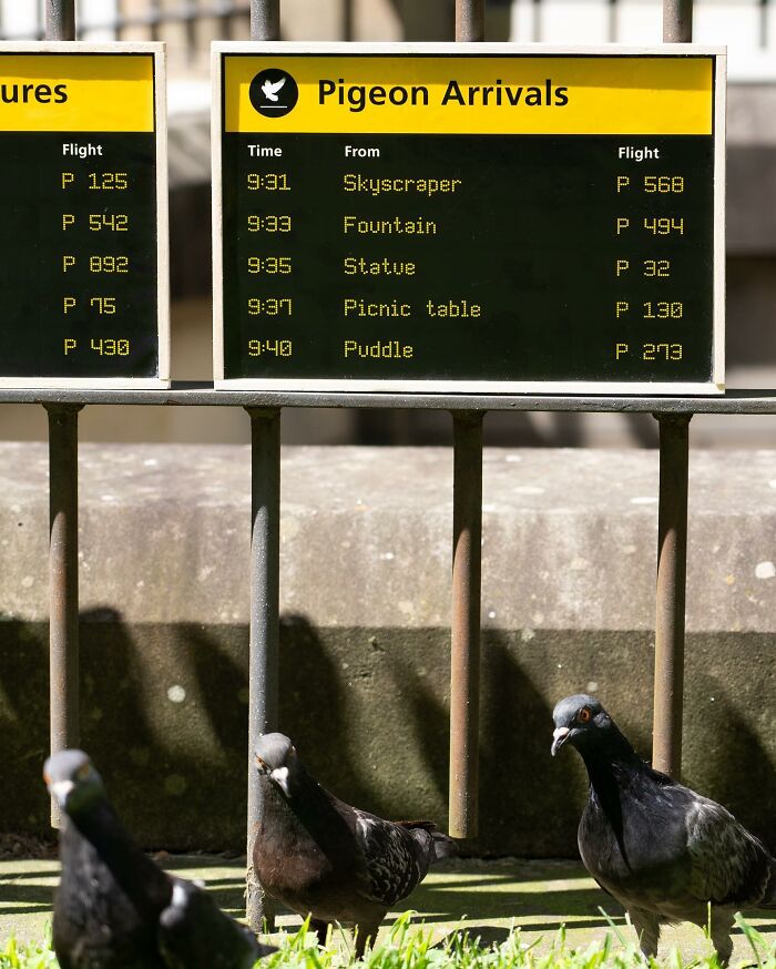 Artist Places Funny Signs In His City And They Look Like Art ...