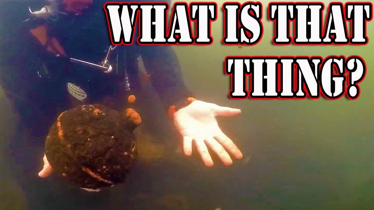 More laptops, mystery items found underwater scuba diving!