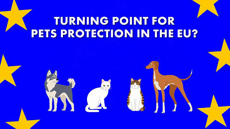 ‘We Were Liars’: What Happened to Rosemary Sinclair?