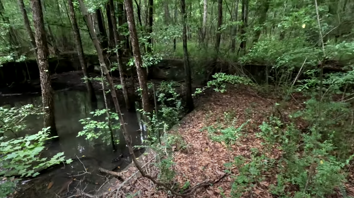 Inside Georgia’s Abandoned Oak Mountain Springs Resort
