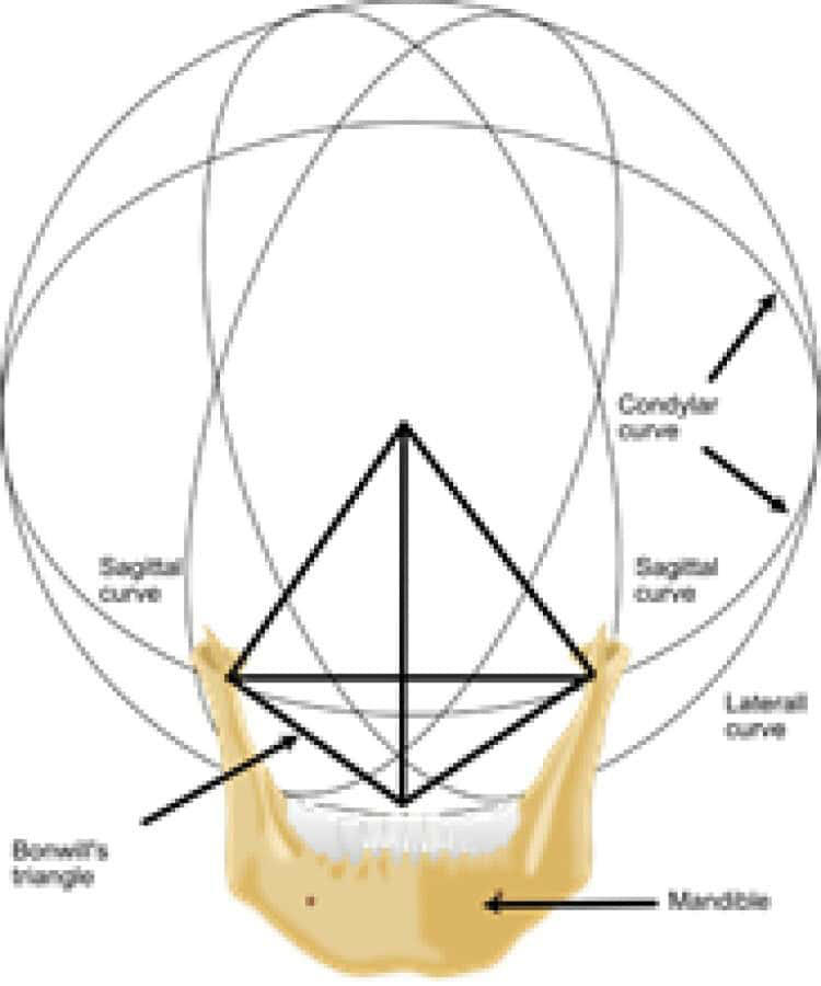 A London Dentist Just Cracked a Geometric Code in Leonardo’s Vitruvian Man