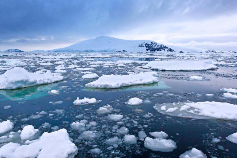 Shrinking Antarctic sea ice is warming the ocean faster than expected