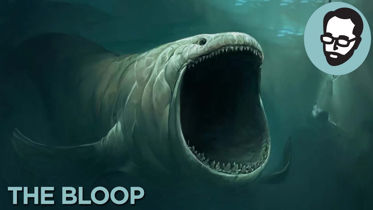 The Bloop - The Mystery of the Loudest Underwater Sound Ever Recorded