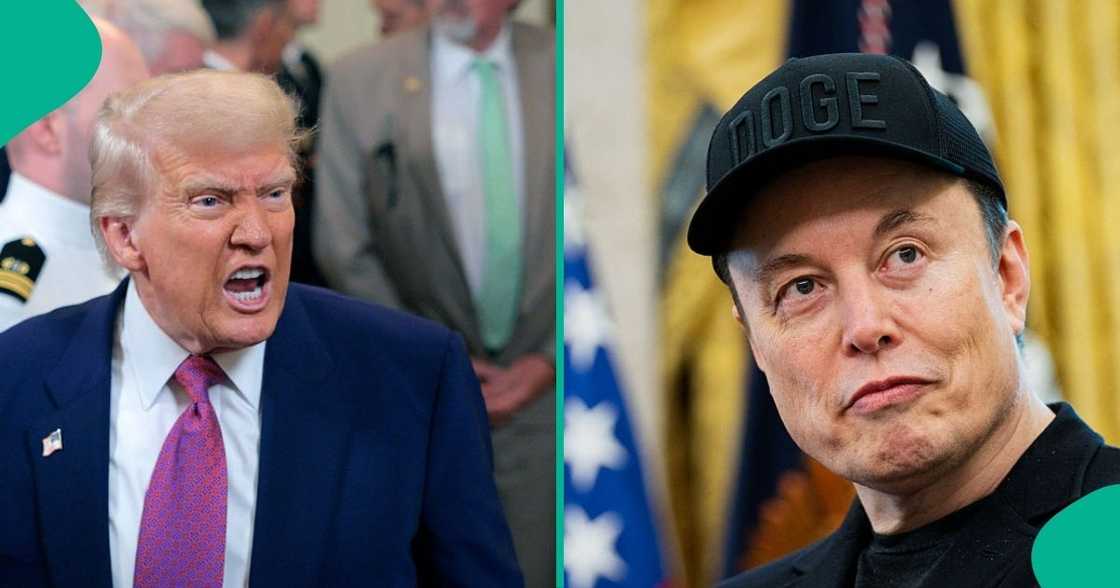 BREAKING: Trump threatens to deport Elon Musk back to South Africa amid ...