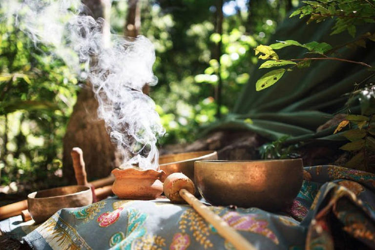 Guía completa para hacer incienso natural con tus plantas: técnicas ...