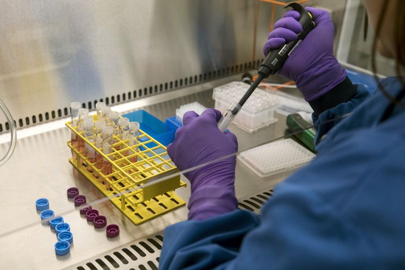 Scientists discover 'medical gold' stem cells can be extracted from ...