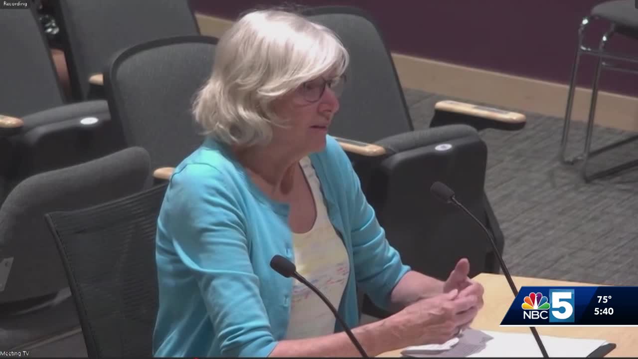 Ann Pugh appointed to South Burlington City Council