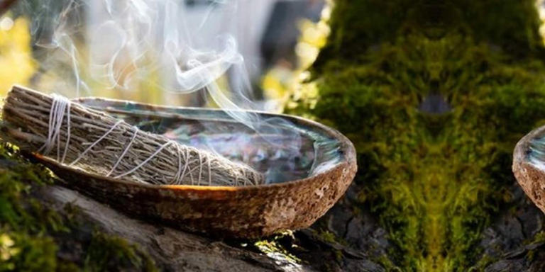 Guía completa para hacer incienso natural con tus plantas: técnicas ...