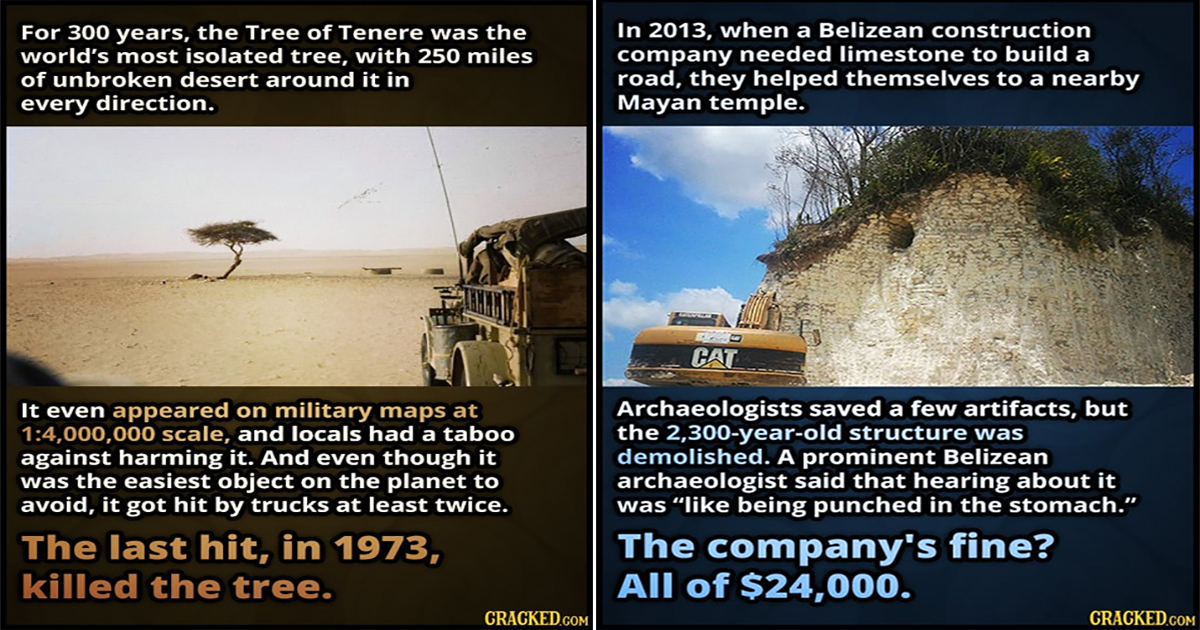 19 Priceless Things That Got Destroyed