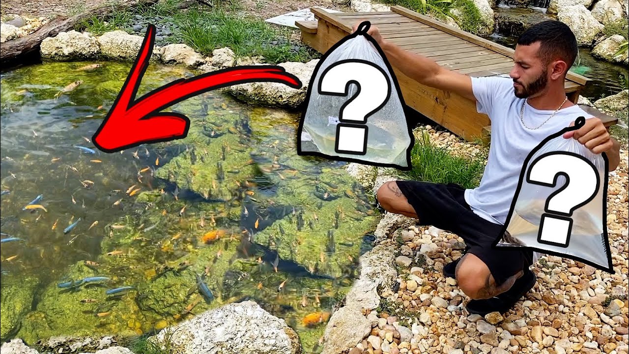 Blake Meets His New Pond MONSTERS for the First Time!