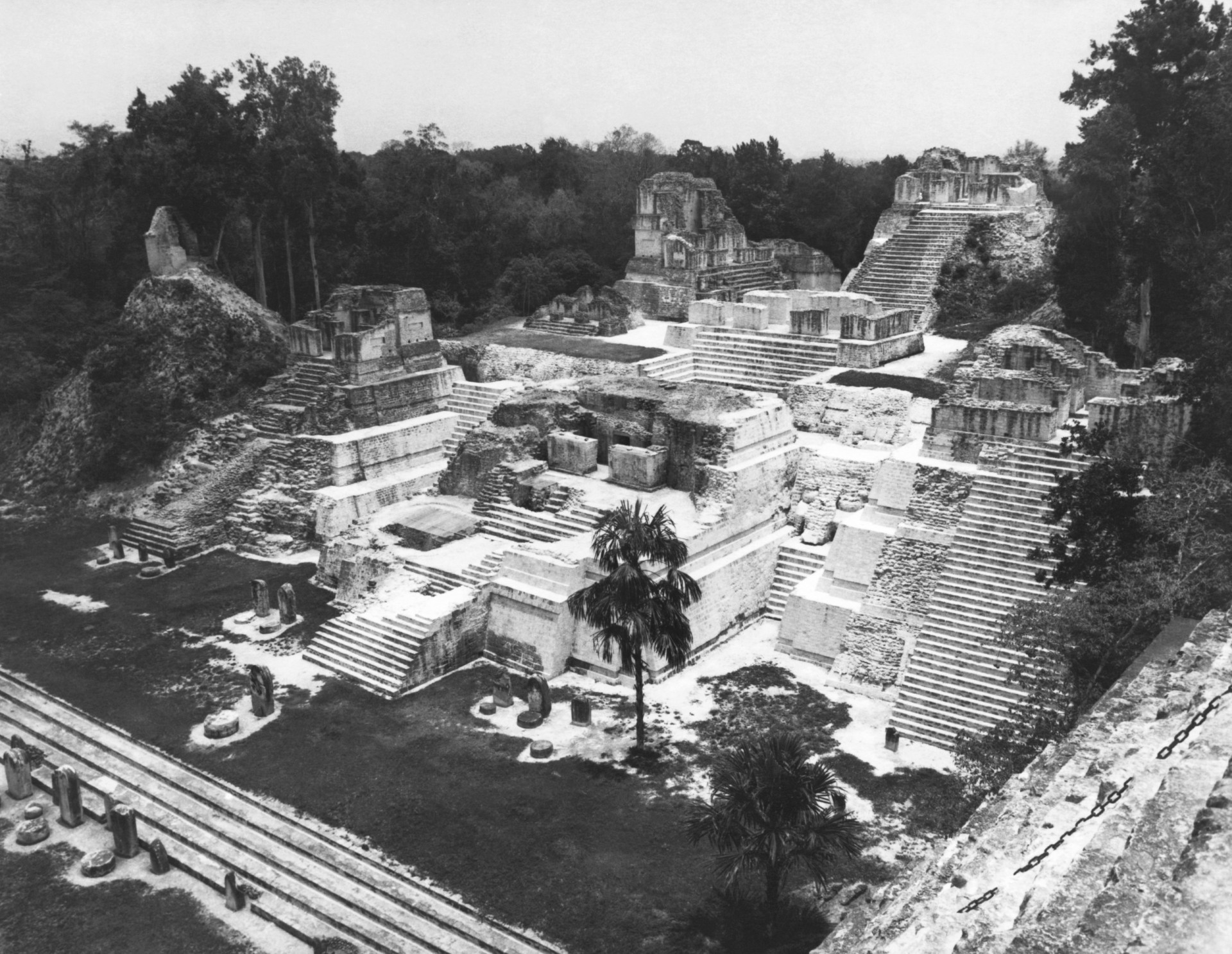 How did the Maya choose sacrifice victims?
