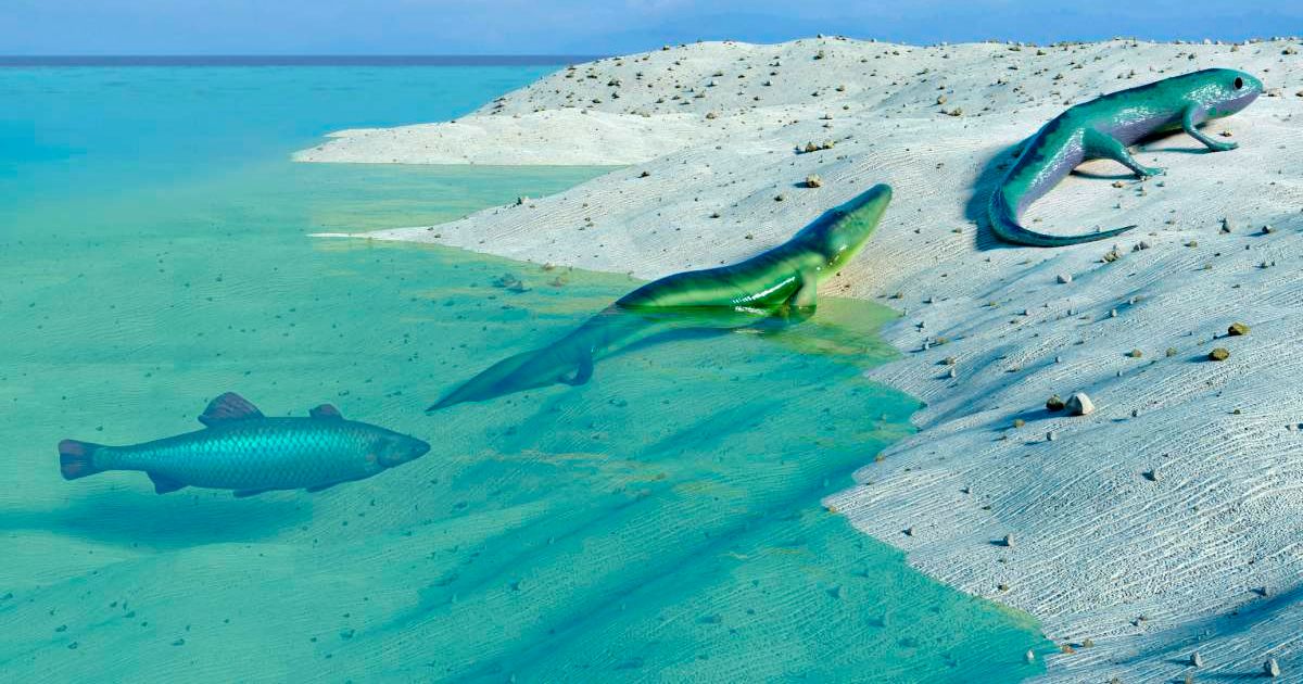 Oxford Professor Reveals Which Species Could Take Over If Humans Go ...