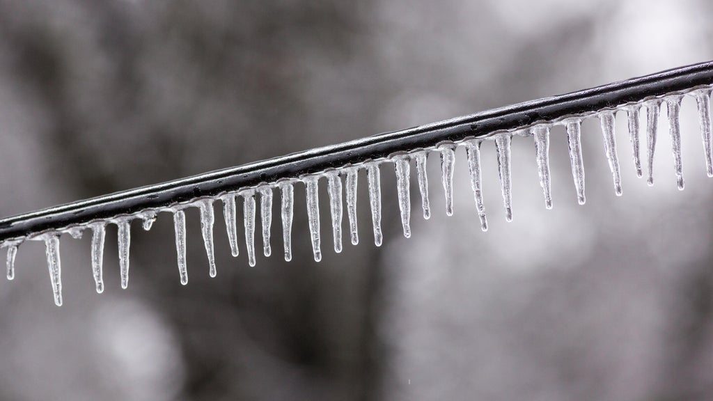 Thousands of Southeast Michigan residents without power due to ice on ...