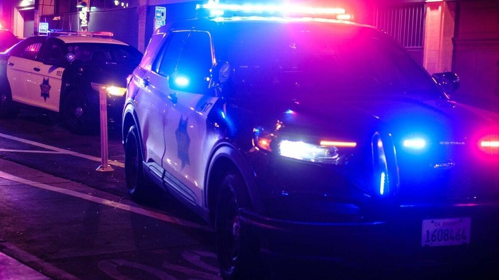 San Francisco police arrest 5 suspected in dozens of retail thefts