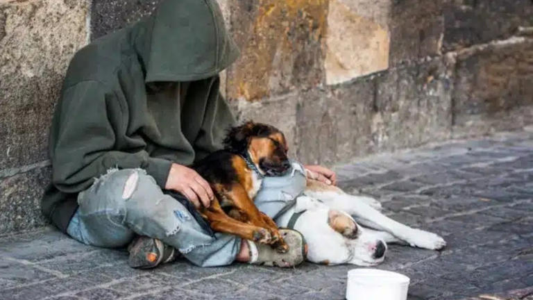 Murió abrazando a su perro: la historia de Juan, el hombre que eligió ...