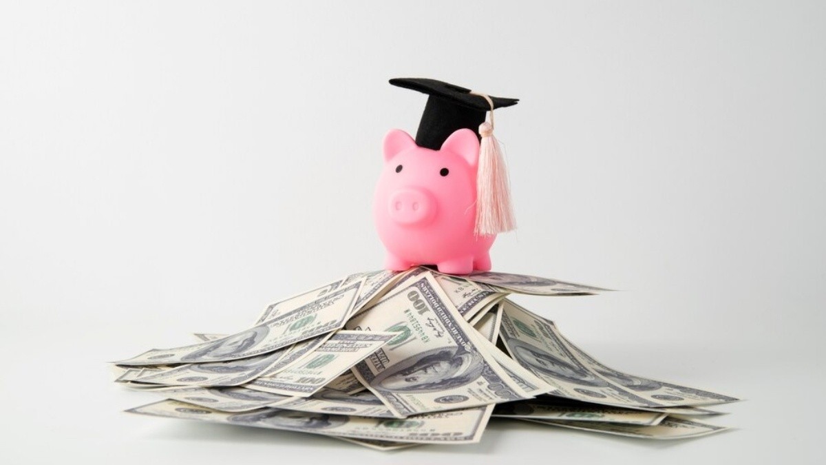 From Taxes to Student Loans: A Detailed Analysis of the Federal ...