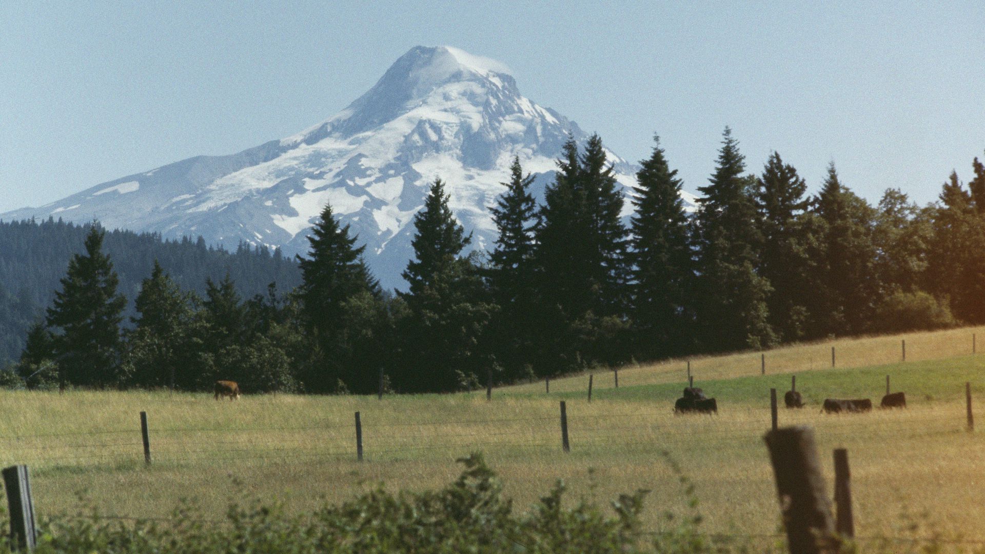 Poll: Off Season Activities