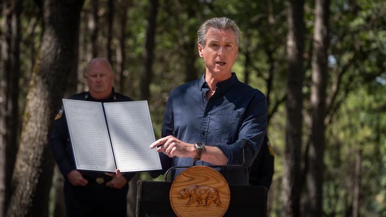 'Make America Rake Again': Newsom calls on Trump to match local, state ...