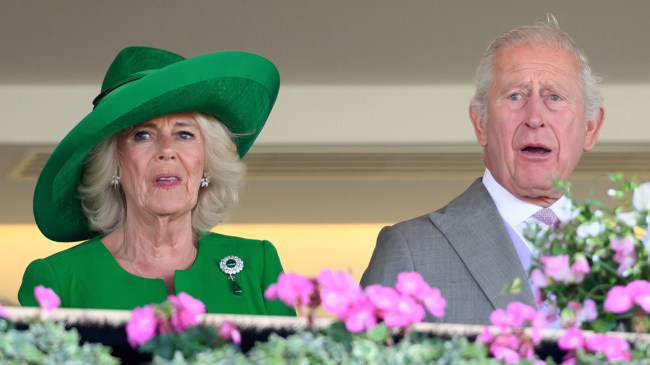 Queen Camilla Gives Subtle Health Update After Reports She's on Her ...
