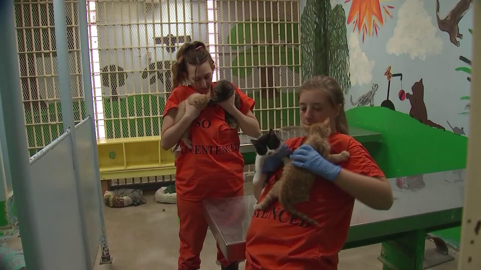 Maricopa County sheriff’s ‘MASH’ unit gives 2nd chance for inmates ...